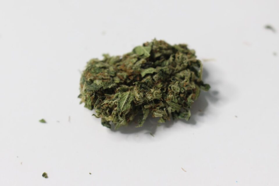 Cannabinoids Explained: Origins, Types & Effects