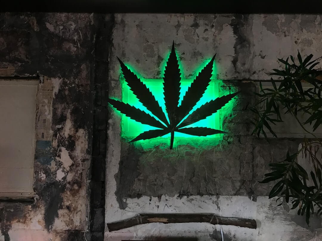 Cannabis Holidays You Should Know & Celebrate