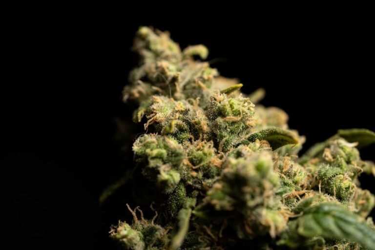 Understanding Delta-8 THC and Its Effects